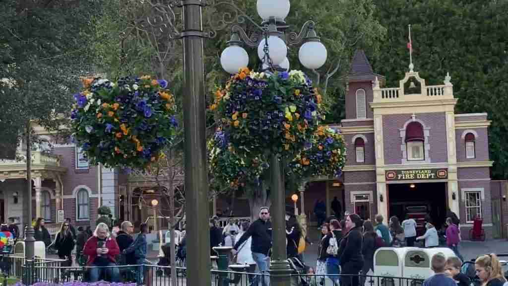 Disneyland Plants & Succulents – Disney Horticulture - Moody Blooms