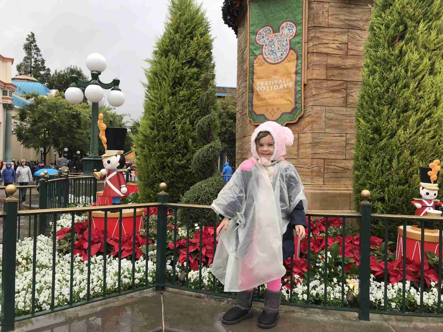 Disneyland Plants & Succulents – Disney Horticulture - Moody Blooms